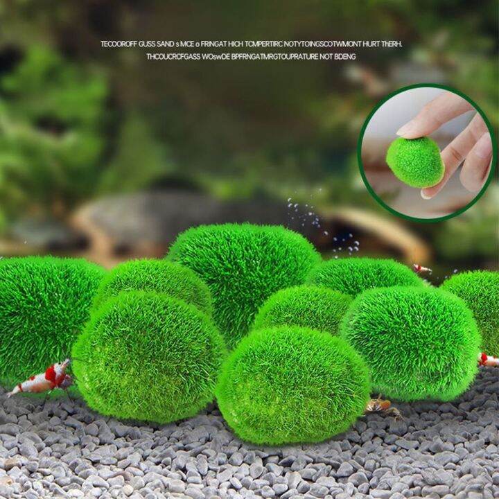 LIOSIS Indoor Aquarium Fish Tank Landscaping Aquatic Plants Microlandscape Desktop Decoration ...