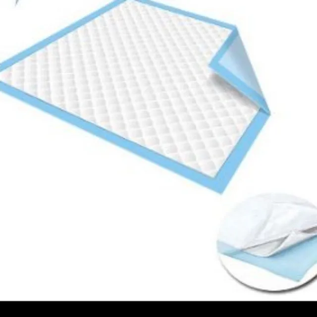 ∈ Underpads Disposable Pharmaline Sureguard Dr. Care | Lazada PH