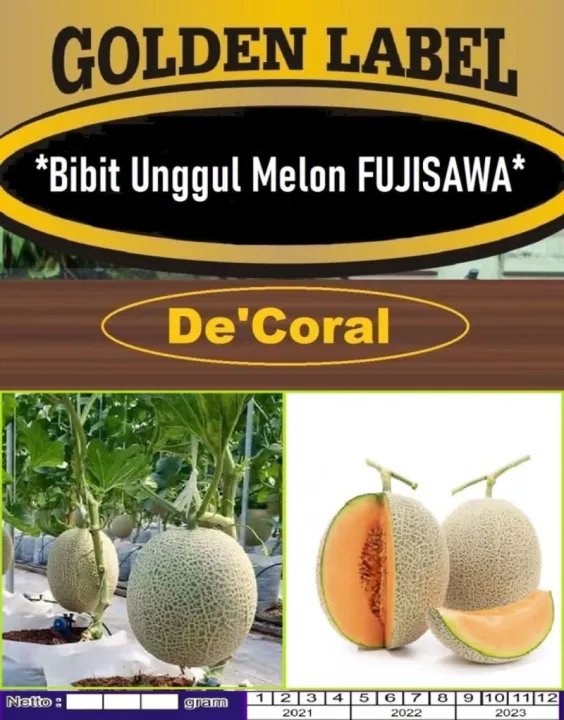 Bibit Unggul Melon FUJISAWA|Benih Melon Jepang FUJISAWA|Melon Fujisawa ...