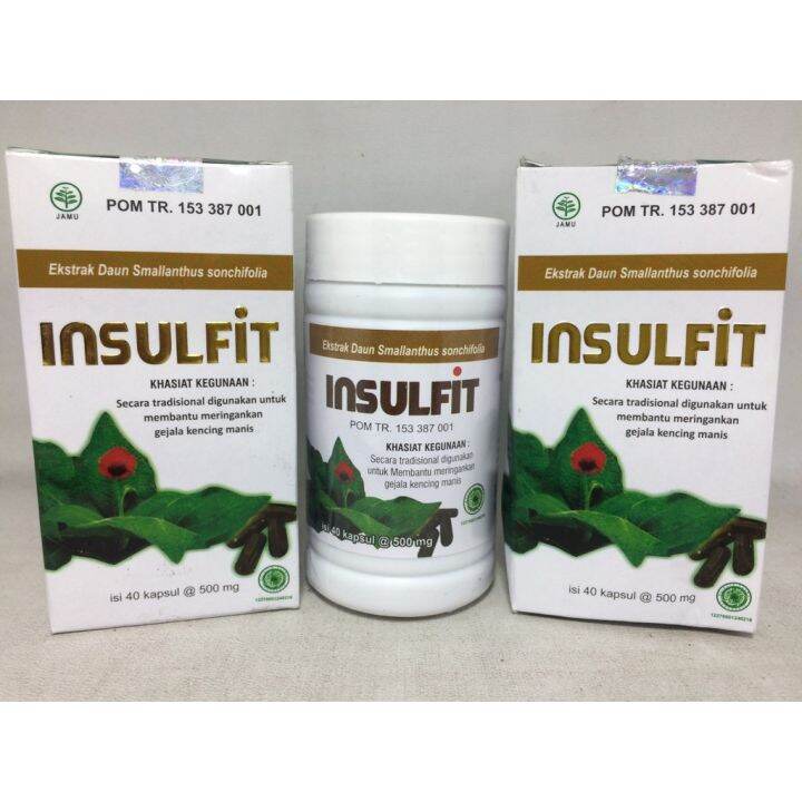 Kapsul Insulfit Daun Insulin Obat Diabetes - 40 kapsul | Lazada Indonesia