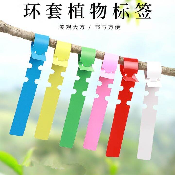 50/100 pcs Plant Tags Garden Nursery Label hanging tree Markers ...