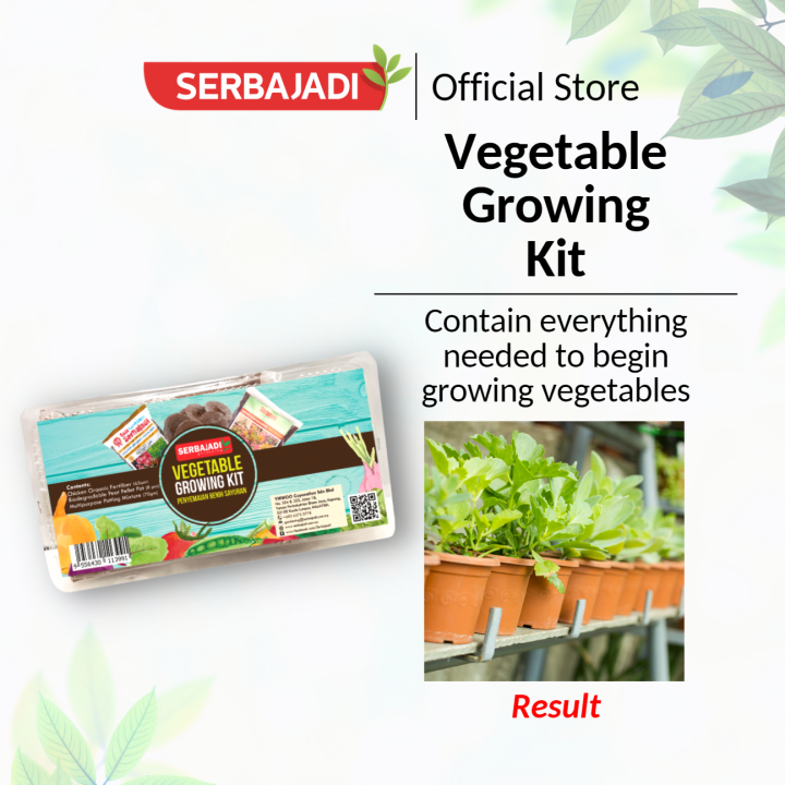 Serbajadi Vegetable Growing Kit/ Growing Vegetable Set/ Tapak Semaian ...