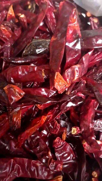 CABE MERAH BESAR 1KG TANPA TANGKAI | Lazada Indonesia