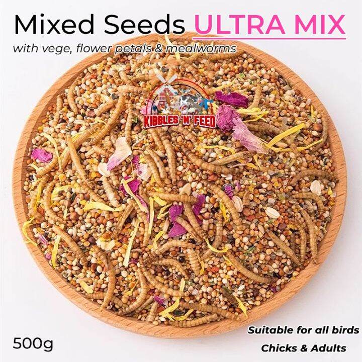 Mixed Seeds Chicken Feed Quail Feed Bird Feed | ULTRA MIX for Chicks ...
