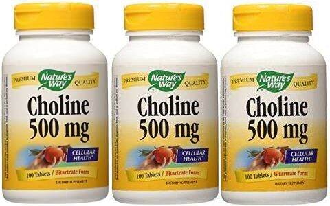 Japan Natureway Choline 500mg 100 grains (set of 3) [parallel import ...