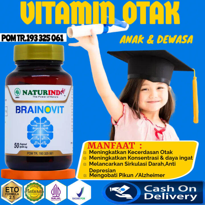Vitamin dan Nutrisi Otak Anak dan Dewasa Suplemen untuk Kecerdasan Daya ...