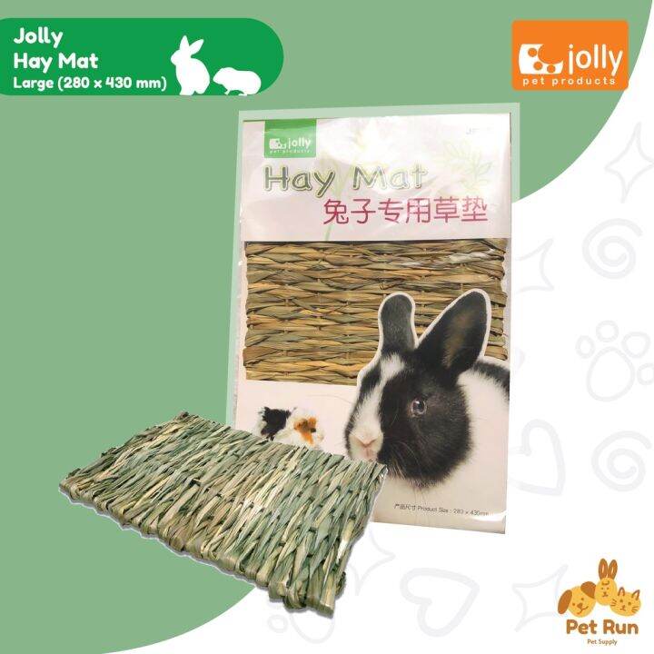 Jolly Hay Hay Mat Large for Rabbits, Guinea Pigs | Lazada PH
