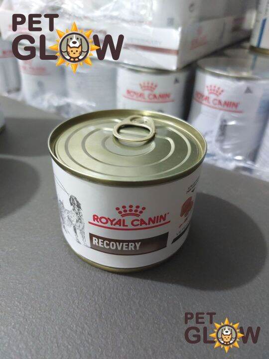 Royal Canin Recovery Canned Wet Dog Food (195g) | Lazada PH