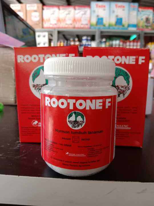 Rootone F 100 gram+Dus Hormon Untuk pertumbuhan Akar | Lazada Indonesia