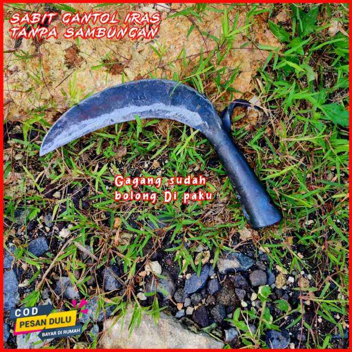Sabit Arit gantol dahan dan ranting pohon / Sabit bahan baja tebal ...
