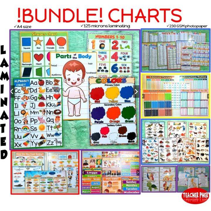 BUNDLE CHARTS DEAL LOWEST PRICE KIDS LAMINATED EDUCATIONAL WALL CHARTS ...