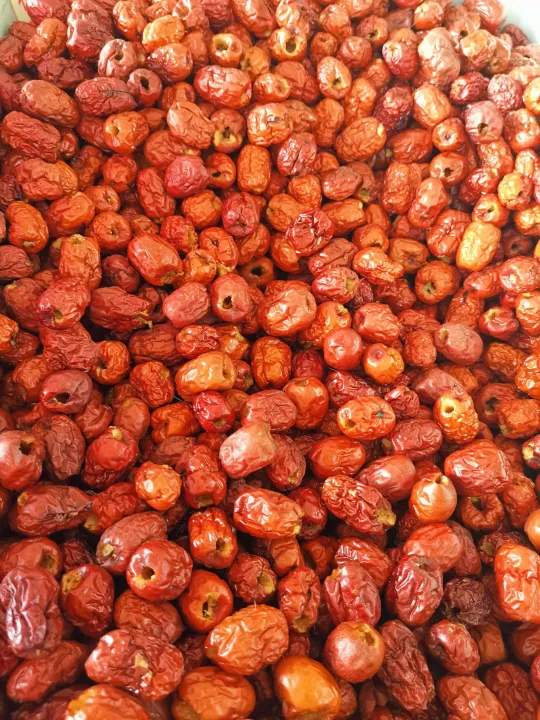 Seedless Red Dates(500gram) | Lazada