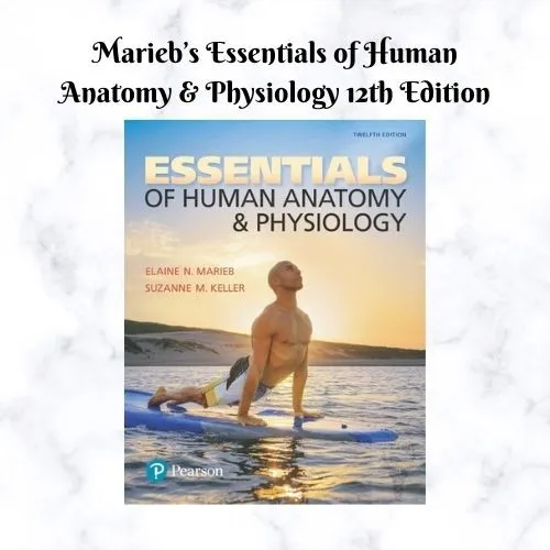 Marieb’s Essentials of Human Anatomy & Physiology 12th Edition | Lazada PH
