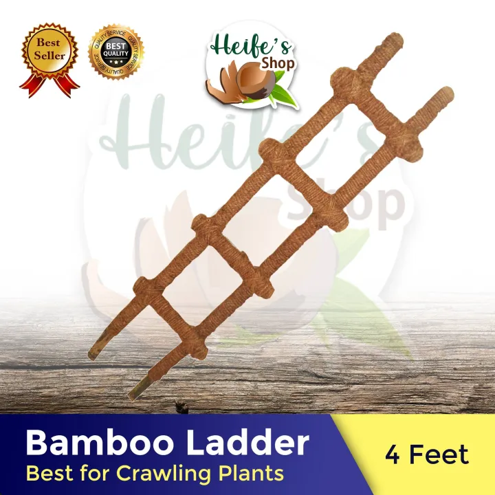 ELEGANT HANDMADE PvC Coco Ladder / 2ft / 3ft / 4ft for Plant stand ...