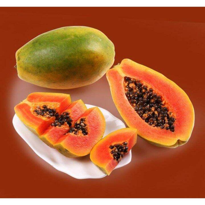buy three get six free(Not Plants) Dwarf Papaya Seeds Heirloom Variety ...