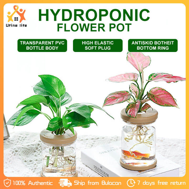 Nordic Minimalist Hydroponic Vase Automatic Water Absorption Plant Pot ...