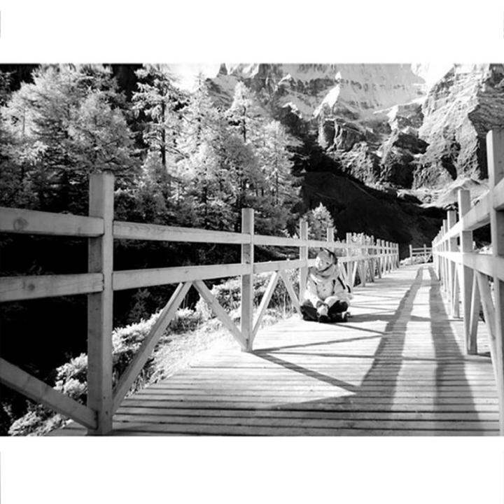 BNMAGIC Zomei 37mm Infrared Filter 850NM Infra-Red X-RAY IR Filters for ...