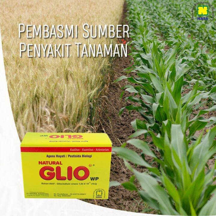 Natural GLIO 100gr NASA Obat Pengendali Hama dan Penyakit Tanaman Asli Original Nasa | Lazada ...