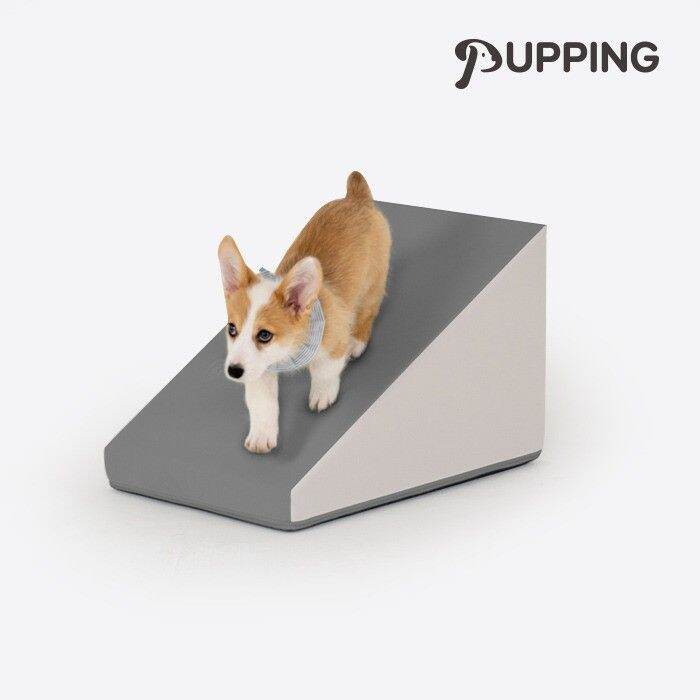 Pupping Slide ทางลาด บันไดสุนัข บันไดน้องหมา ทางลาดขึ้นเตียง | Lazada.co.th