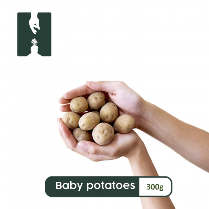 300G - BABY POTATO / PATATAS— Fruits, Vegetables, Meat, Seafood Online ...