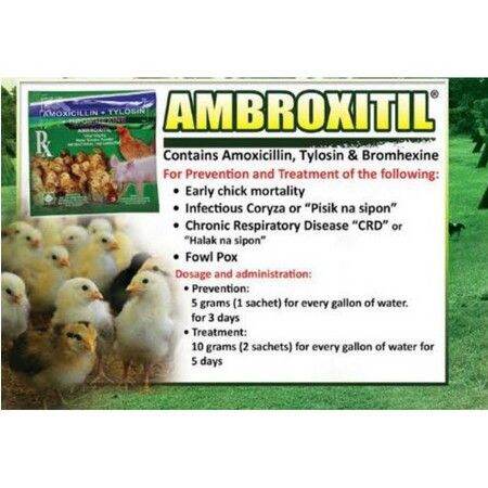 Ambroxitil Water soluble powder 5 g.for swine, poultry,gamefowl sold ...