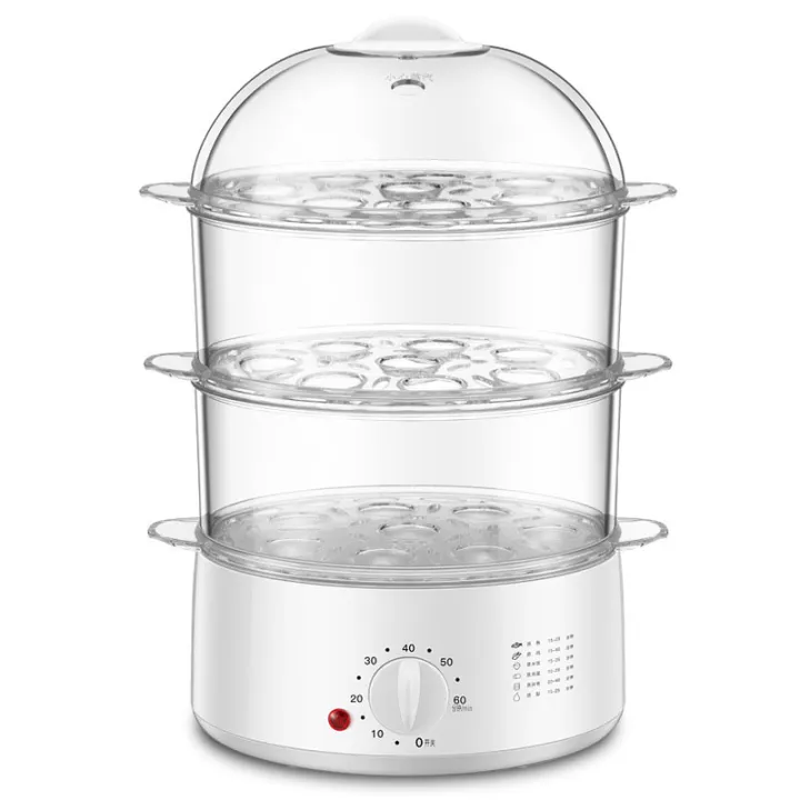 Electric steamer, multi-function electric steamer, multi-function ...