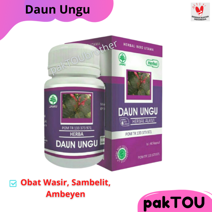 Daun Ungu Obat Wasir Luar Dalam Berdarah BPOM Herbal Alami / Obat ...