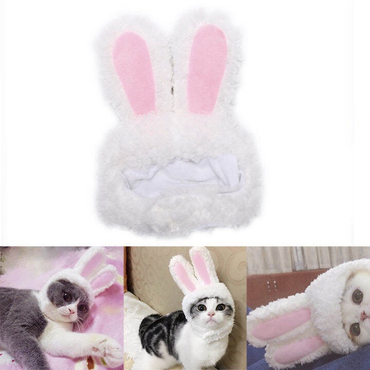 UNIKI Cat bunny rabbit ears hat pet cat cosplay costumes for cat small ...