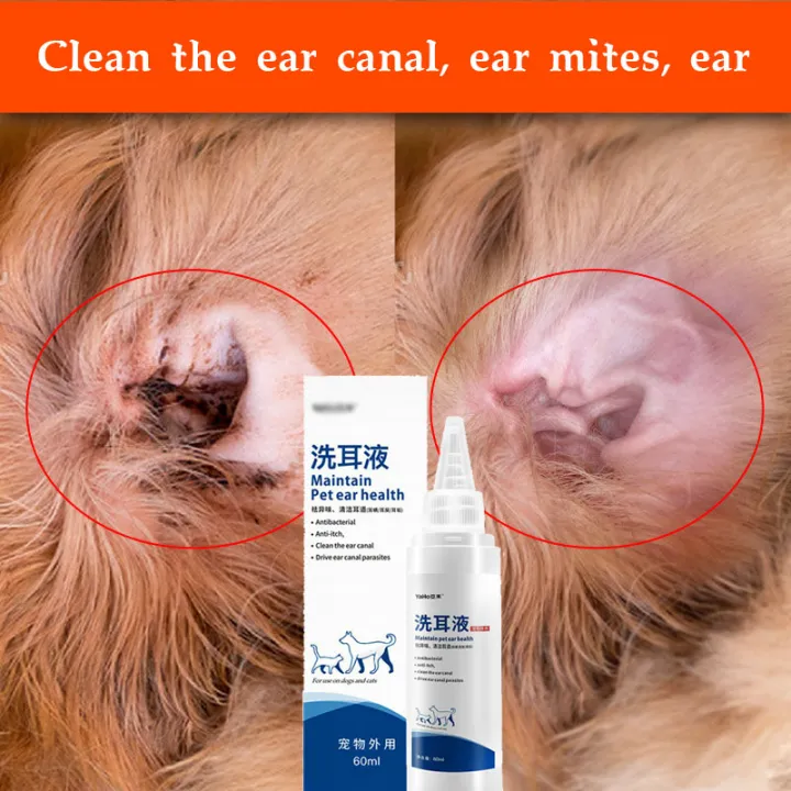 Dog ear drops cat ear mites ear wash ear wash water Teddy Golden ...