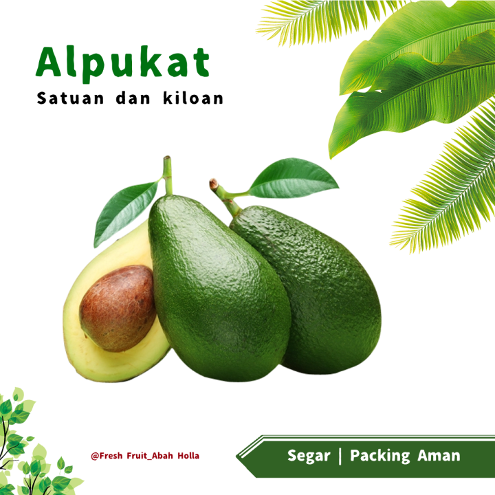 ALPUKAT | 1 KG | AVOCADO |APUKAT | APOKAT | STOK BARU | PACKING AMAN ...