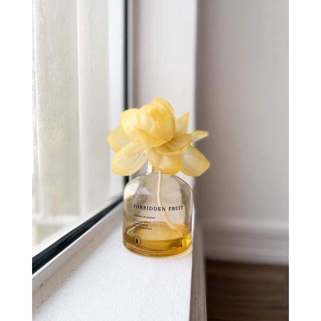 Sola Flower Diffusers Gift Set | Lazada PH