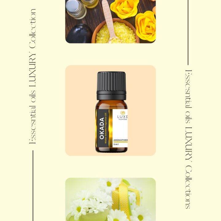 LUXURY OKADA Scent Luxe Essential Fragrance Oil Scent Air Humidifier Water Soluble | Lazada PH