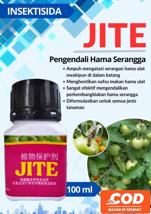 Insektisida Pembasmi Hama Lalat Ulat Sundep Grayak Daun Jite Tanaman ...