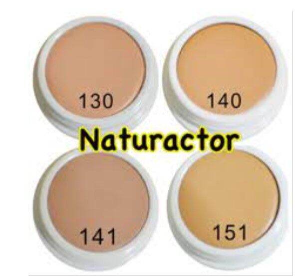 NATURACTOR CONCEALER FOUNDATION | Lazada PH