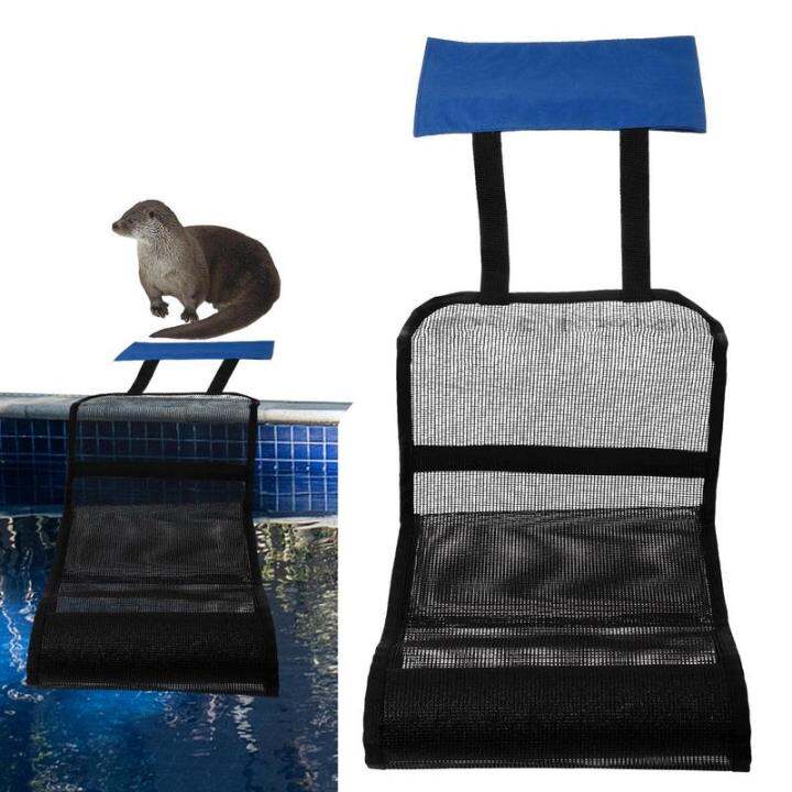 Pet Dog Animal Rescue Escape Ramp Swimming Pool Floating Animal ...