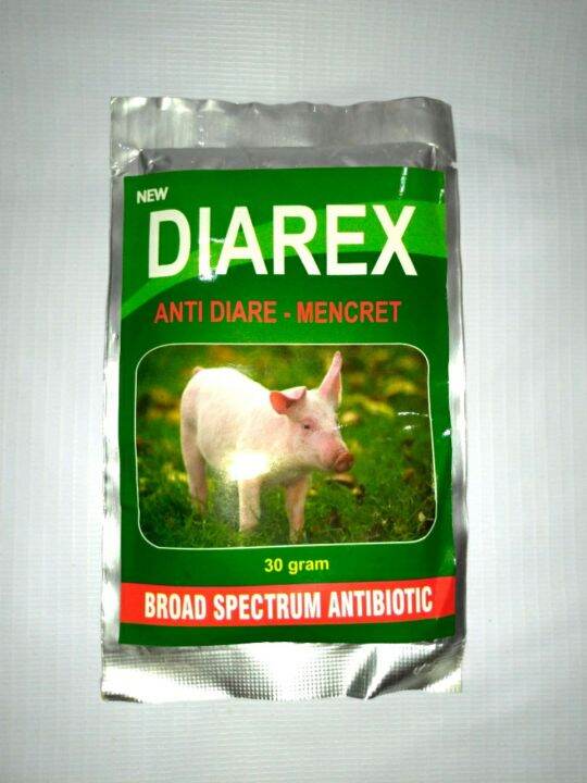 DIAREX Obat Antibiotik Anti Diare Mencret Babi 30gr | Lazada Indonesia