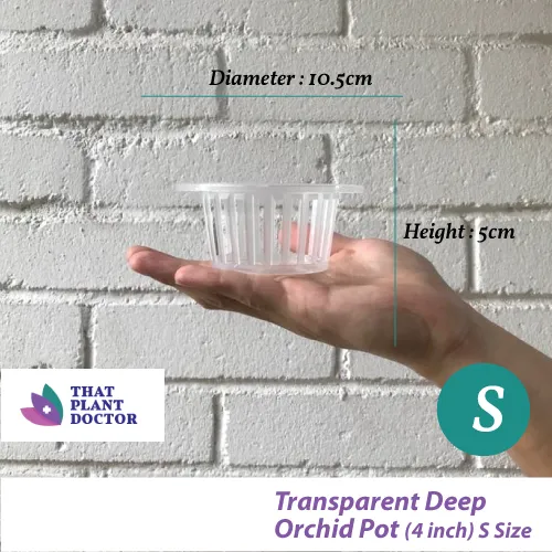 Transparent Deep Orchid Pot (S Size / 4 inches pot) | Lazada