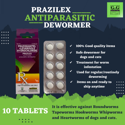 [G&G AGRIVET] PRAZILEX 10 TABLETS / DEWORMING FOR PETS / SOLD PER 10 ...