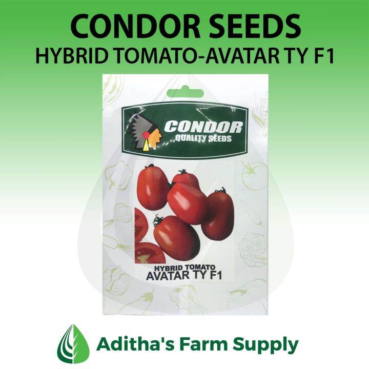 Condor Seeds: Avatar F1 - Hybrid Tomato | Lazada PH
