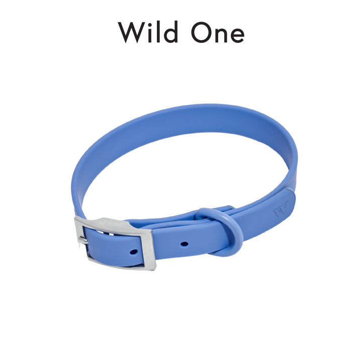 Wild One - Collar ปลอกคอสุนัข │Moonstone (Limited) | Lazada.co.th