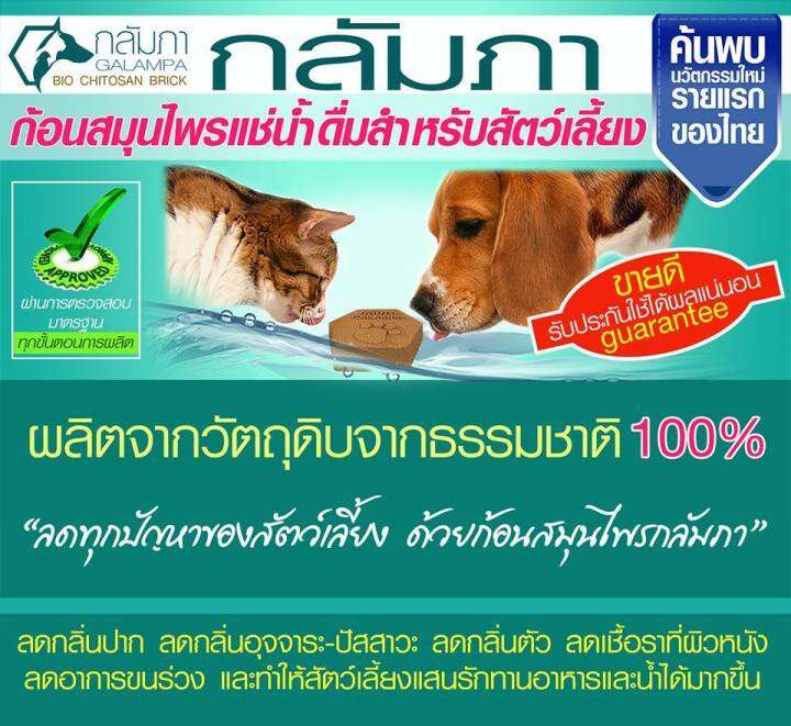 Kalampa กลัมภา ก้อนสมุนไพรแช่น้ำดื่มสำหรับสัตว์เลี้ยง สุนัข แมว ช่วย ...