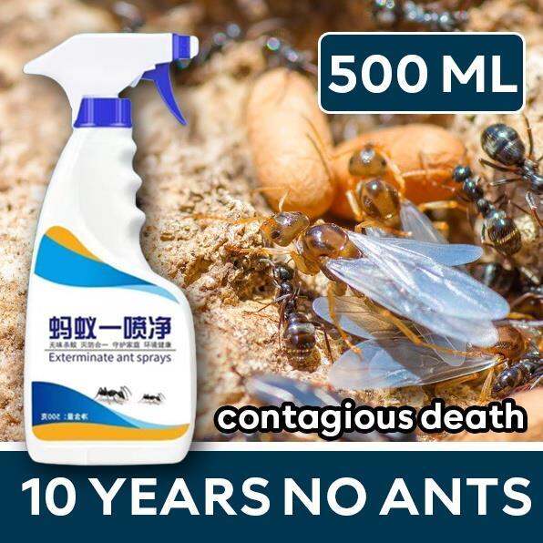 GSQ 10 years NO ants termites killer spray 500ml ant killer ants spray ...