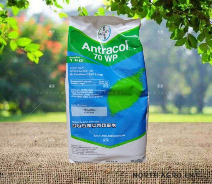 1KG Antracol 70WP Bayer Propineb 80.0% Racun Kulat Fungicide | Lazada