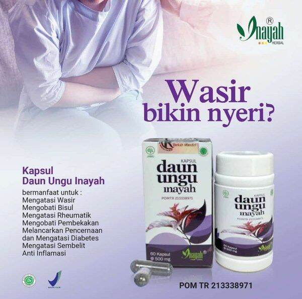 Kapsul Daun Ungu Inayah 60 Kapsul Herbal wasir Bpom | Lazada Indonesia