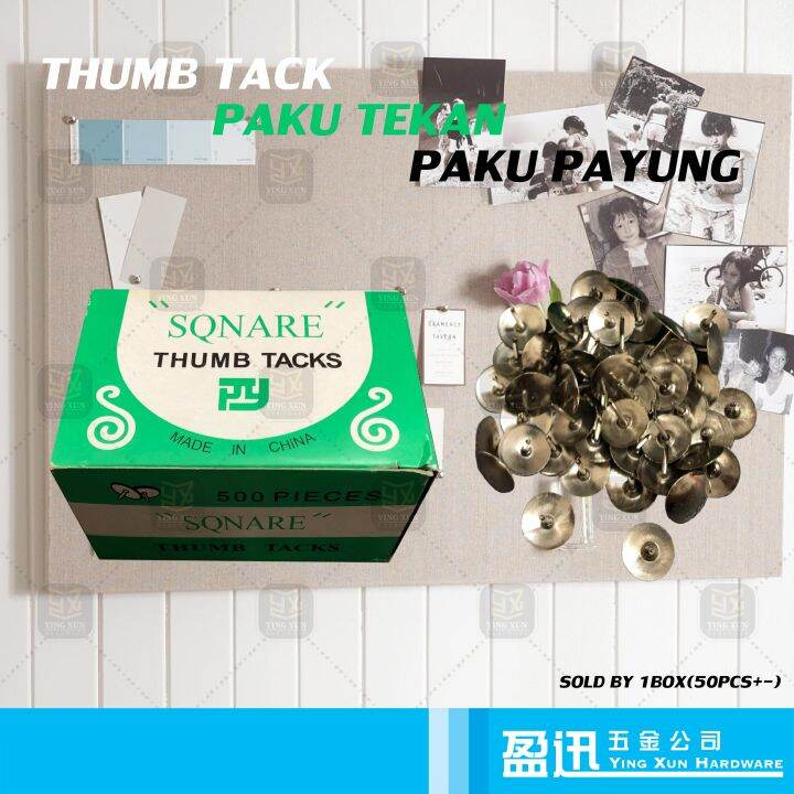 Thumb Tack Pin Paku Tekan Paku Payung 四方牌图钉 50pcs/Box | Lazada