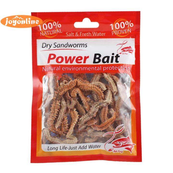 Dry Sand Worm Bait Real Bait Dry Worm Bait Fishing Sea Fishing Sandworm ...