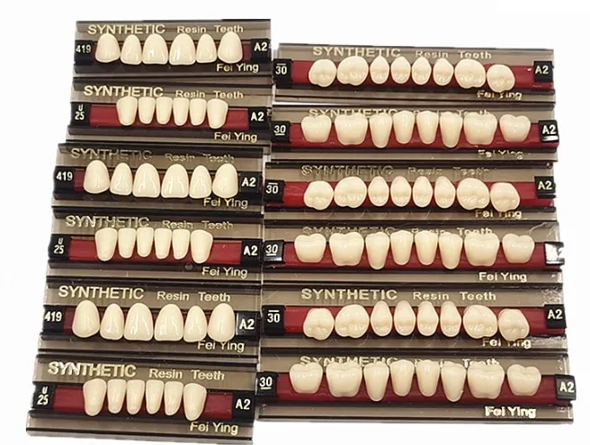 3 set /box/84 pieces small medium big Dental Synthetic Polymer fake ...