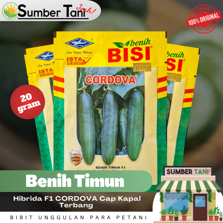 Benih Timun Hibrida F1 Cordova Kemasan 20Gram Cap Kapal Terbang ...