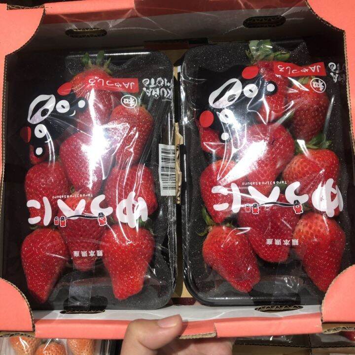 Stroberi Jepang | Strawberry Japan Red Original kumamoto 2 Pack /Box ...