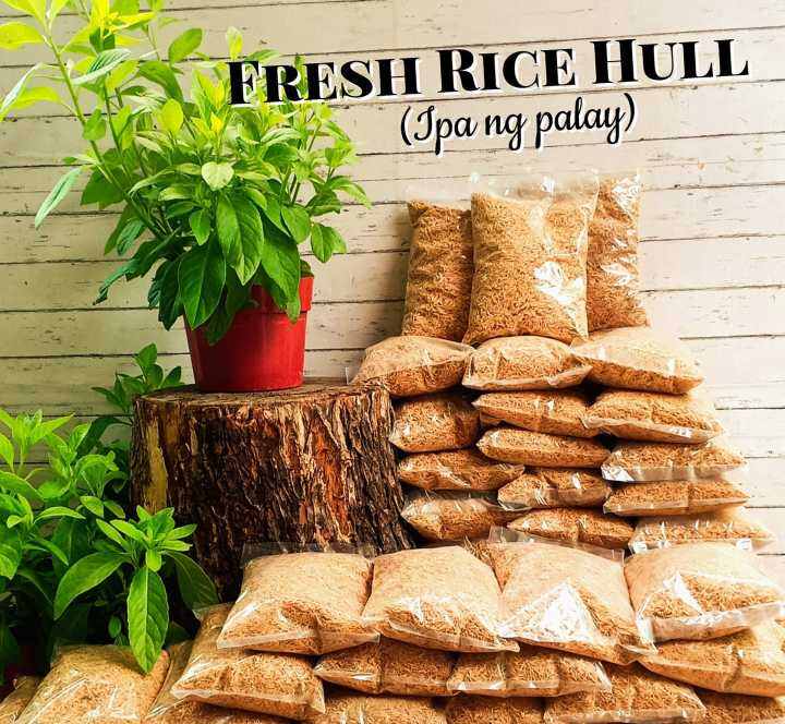 RICE HULL - IPA ng palay | Lazada PH